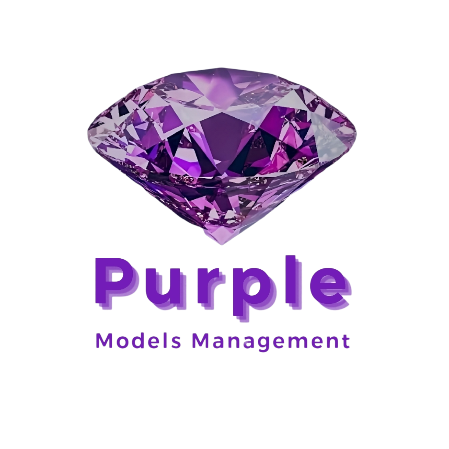 Model Application Form